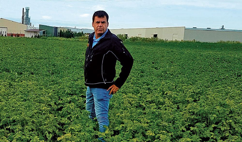 Marco Martín: “Solo puedo decir con total seguridad una palabra sobre ...