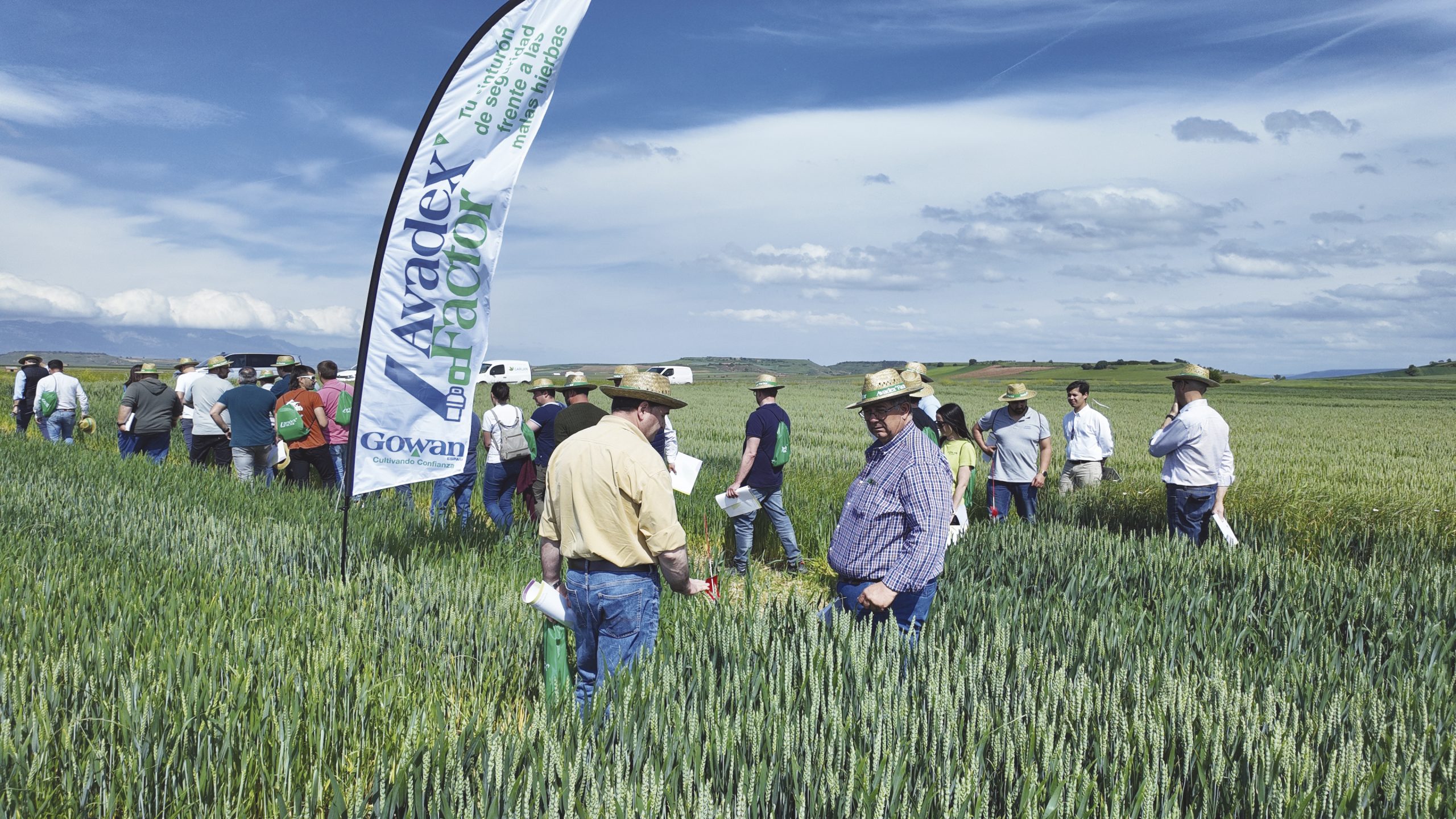 AVADEX® Factor cumple un año en España con un balance sobresaliente y ...